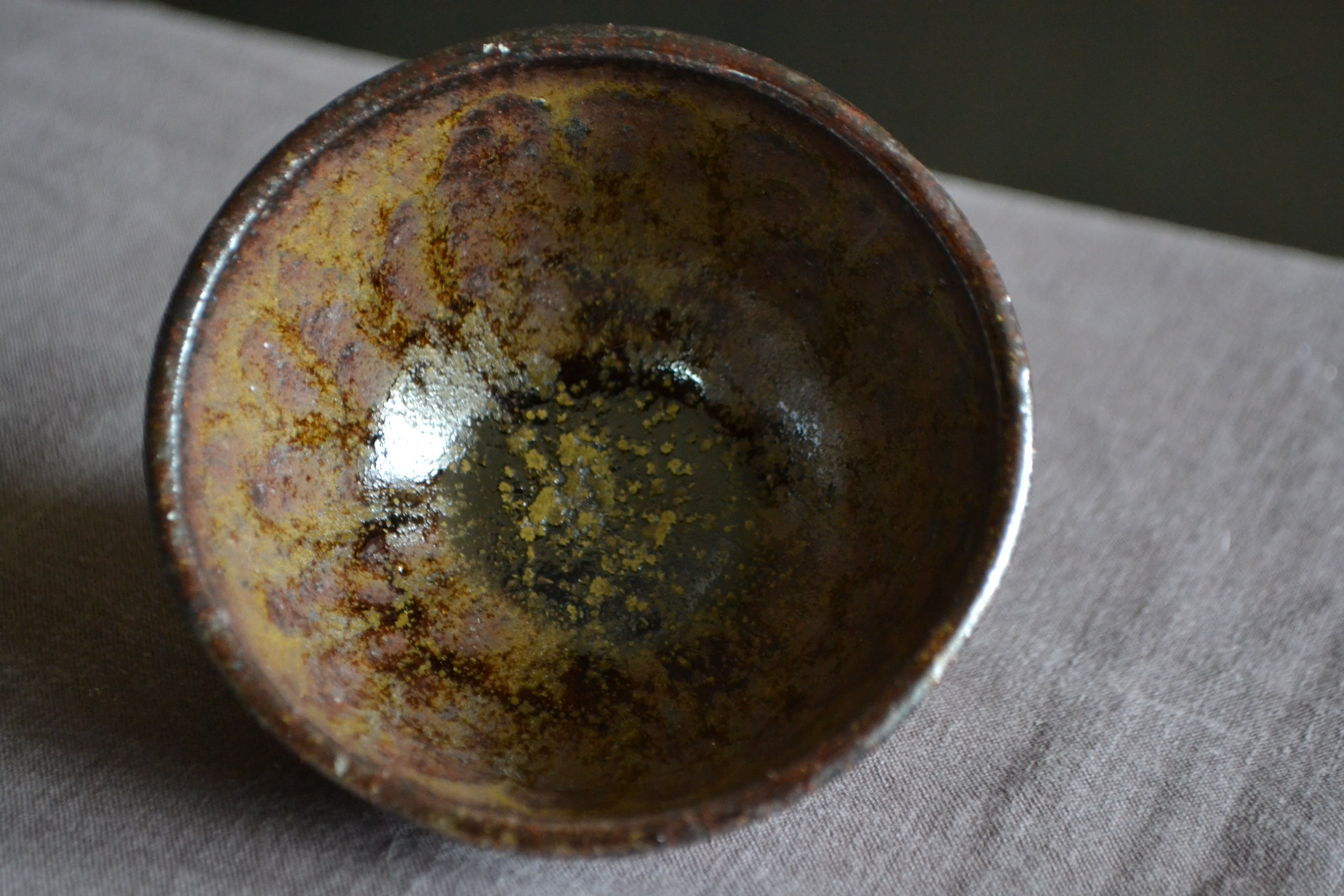 Amicizia – La Topaia